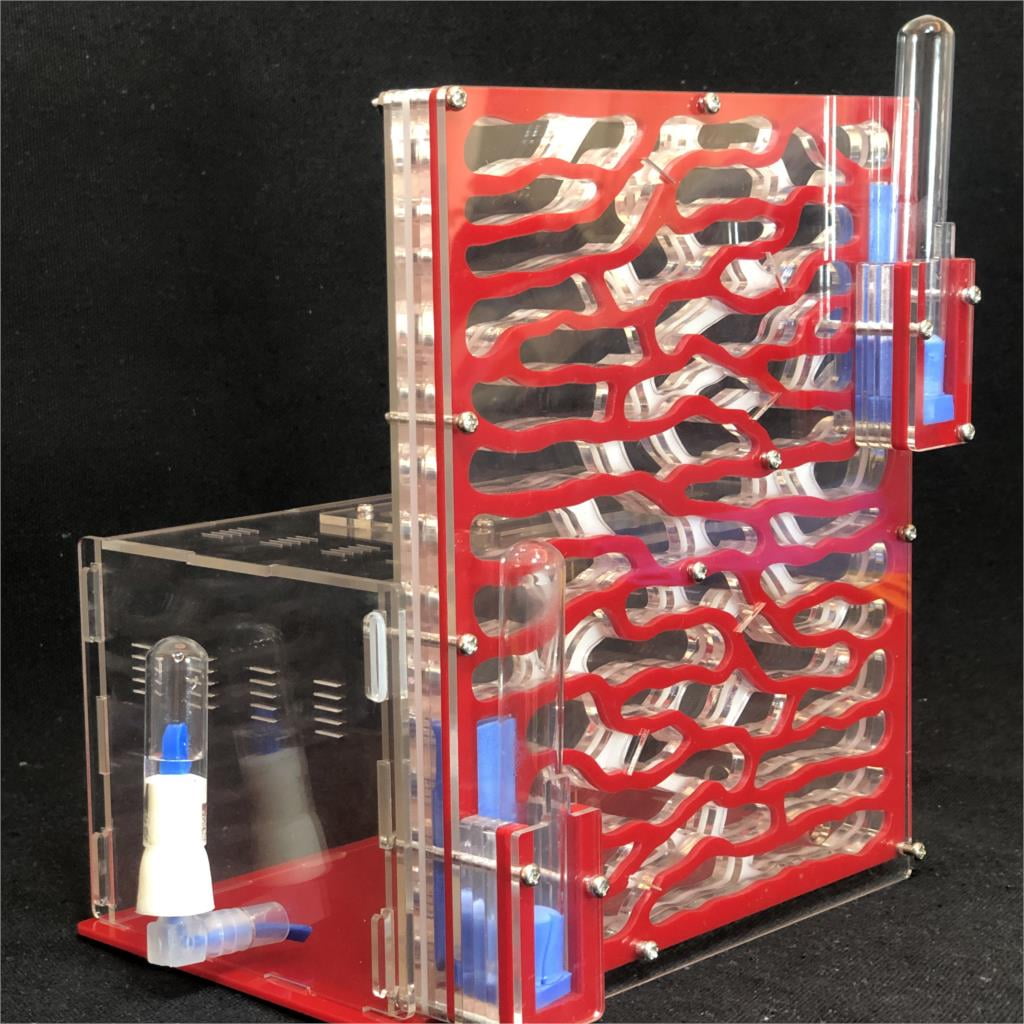 DIY Large Acrylic Ant Farm with Feeding Area Big Ants House Ant Nest ...