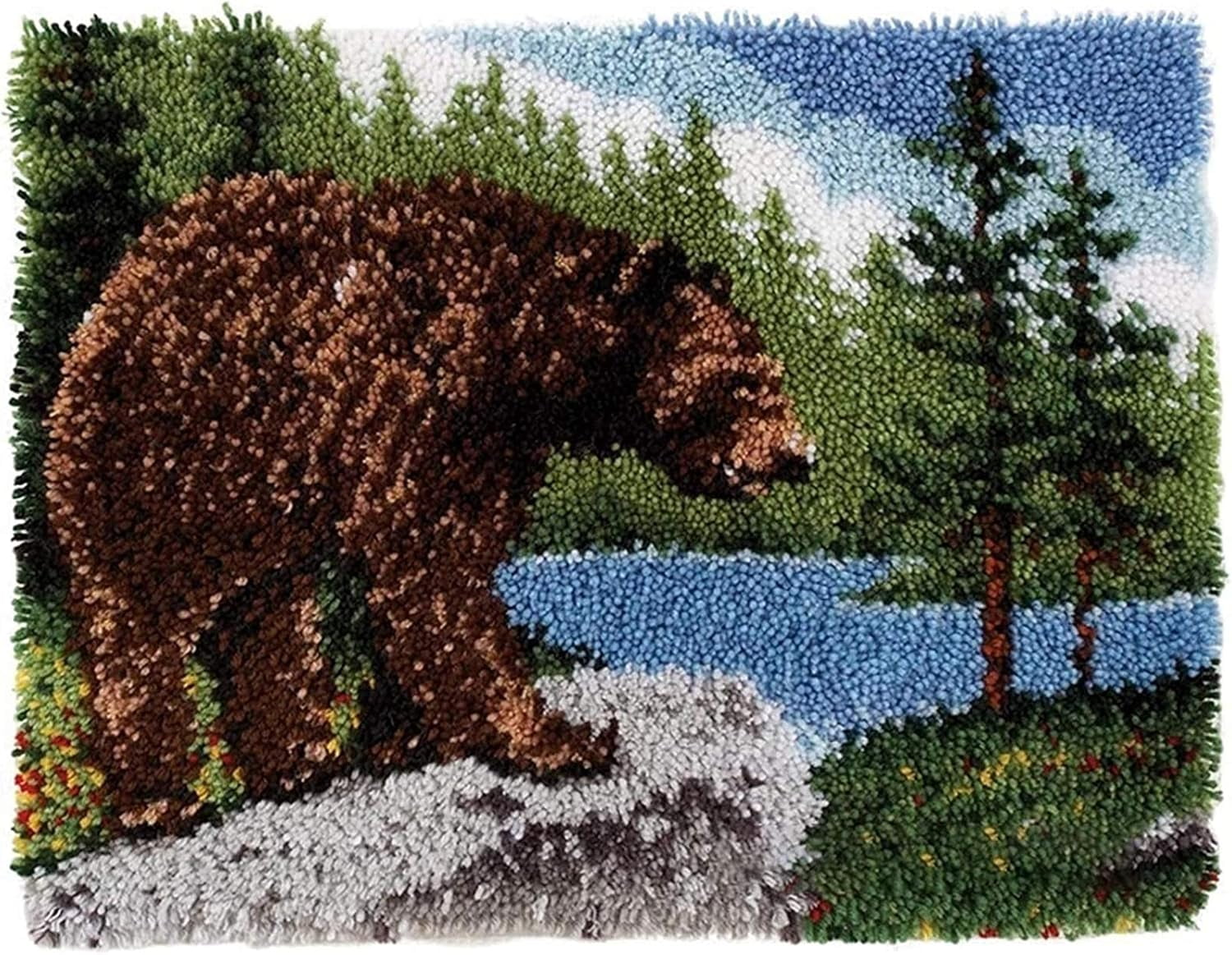 DIY Latch Hook Kits for Adults Beginners, Latge Rug Crochet Yarn Kits ...