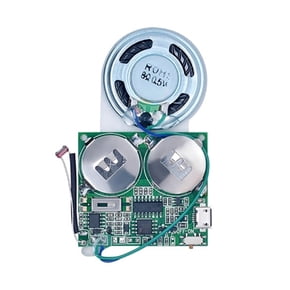 Recordable Sound Chip
