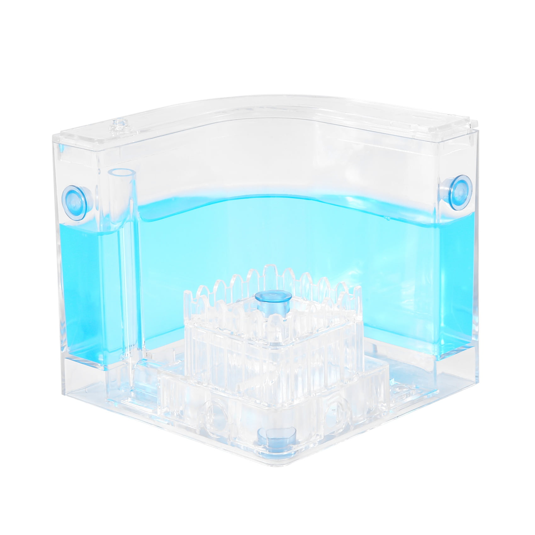 DIY Moisture with Feeding Area Ant Nest Ant Farm Ant Nests Villa Pet ...