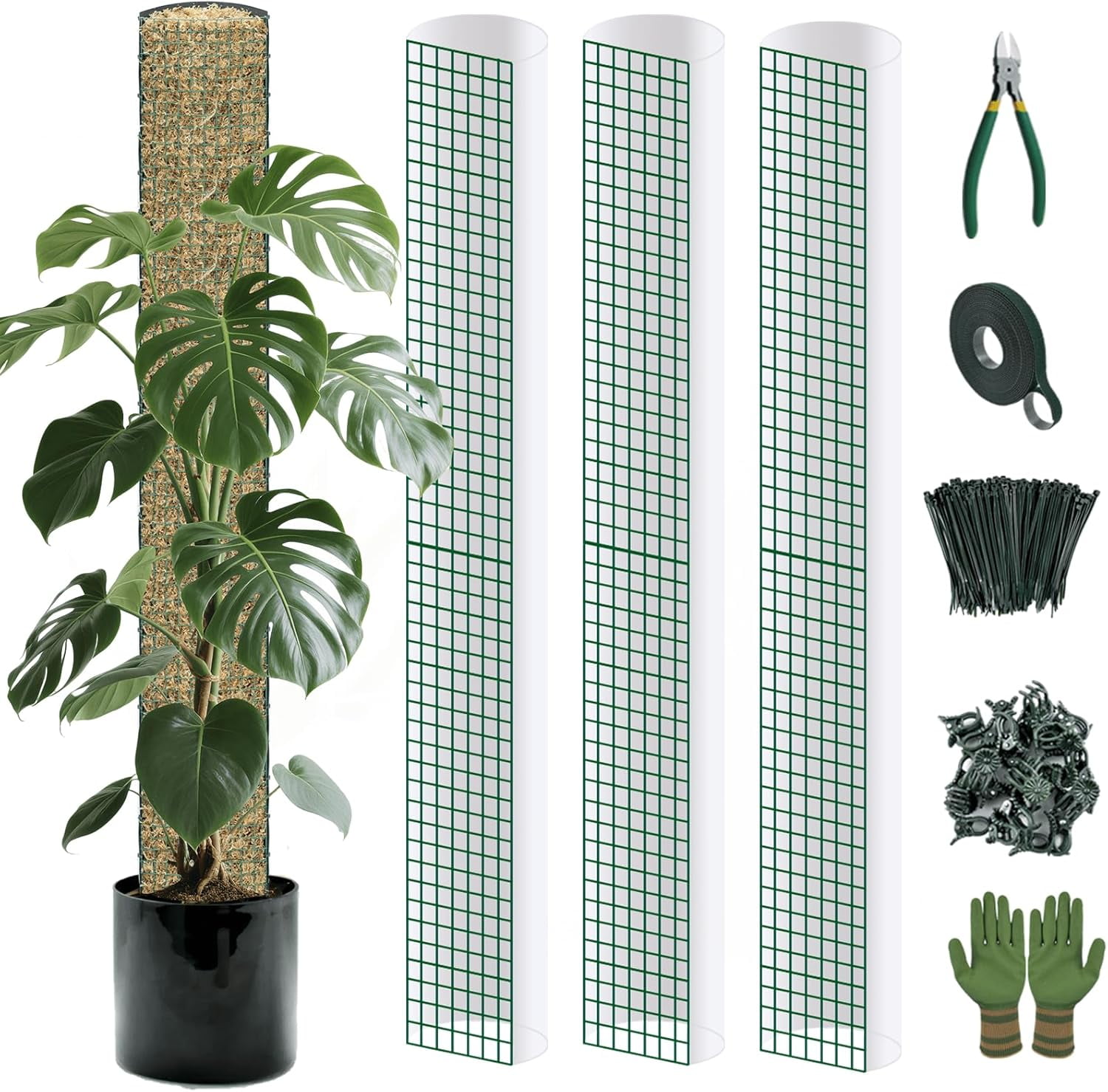 DIY Moss Poles Plastic Monstera Plant Support Self Watering Plant Poles ...