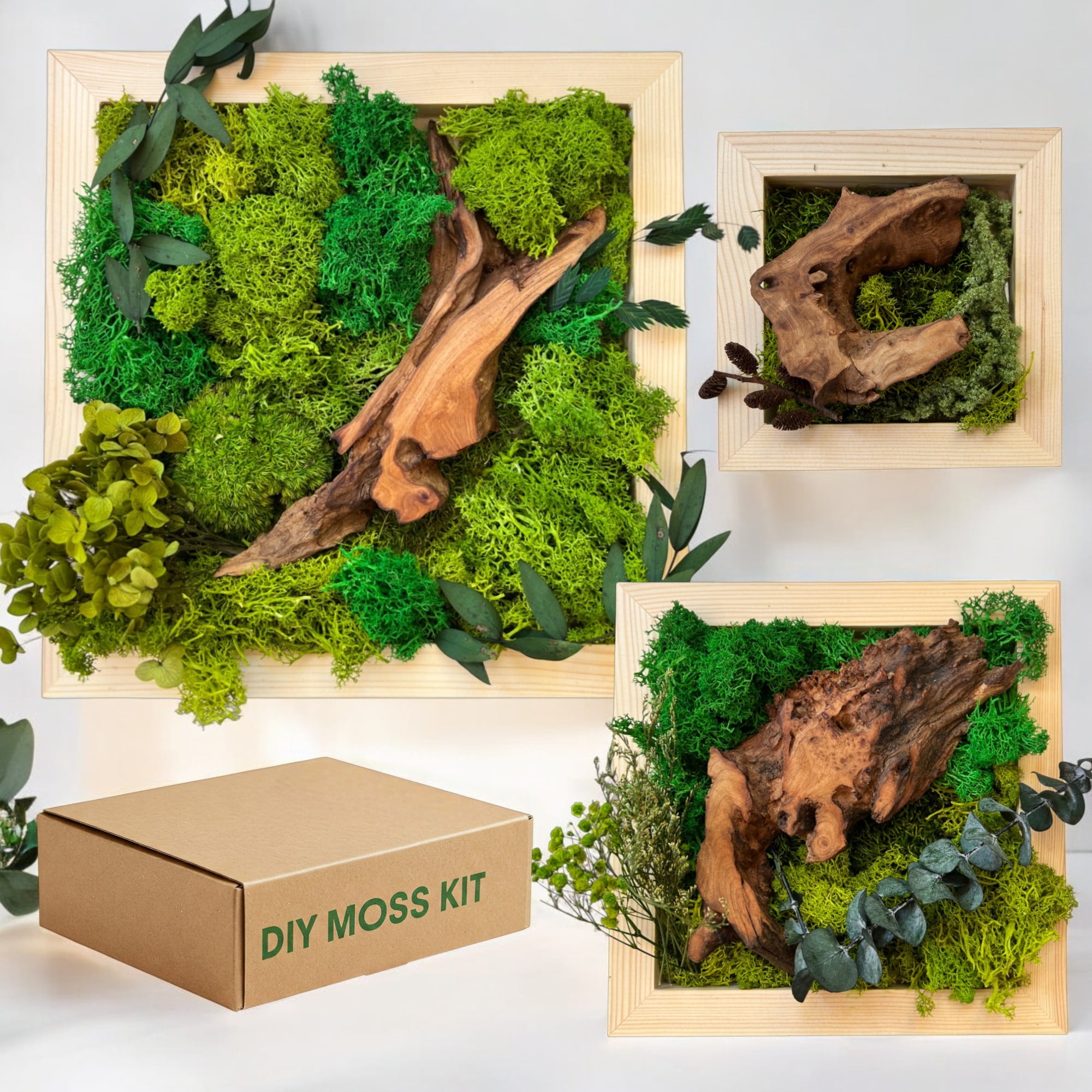 DIY Moss Wall Art Kit, Craft Project, Natural Gift, 6", 8", 10" (3 ...