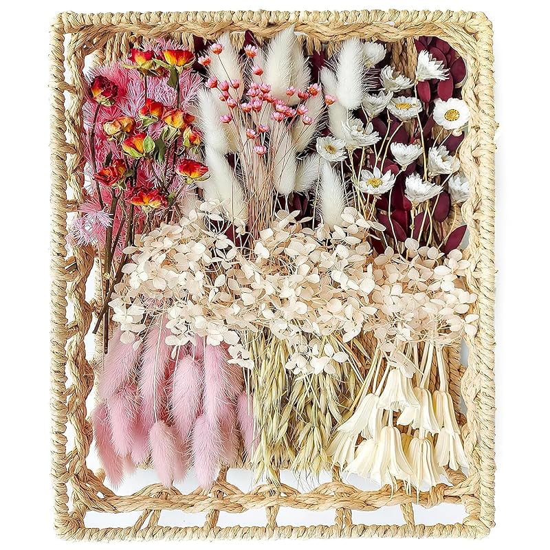 DIY Natural Dried Flower Set, Bulk Dried Flowers, Dried Flowers with ...