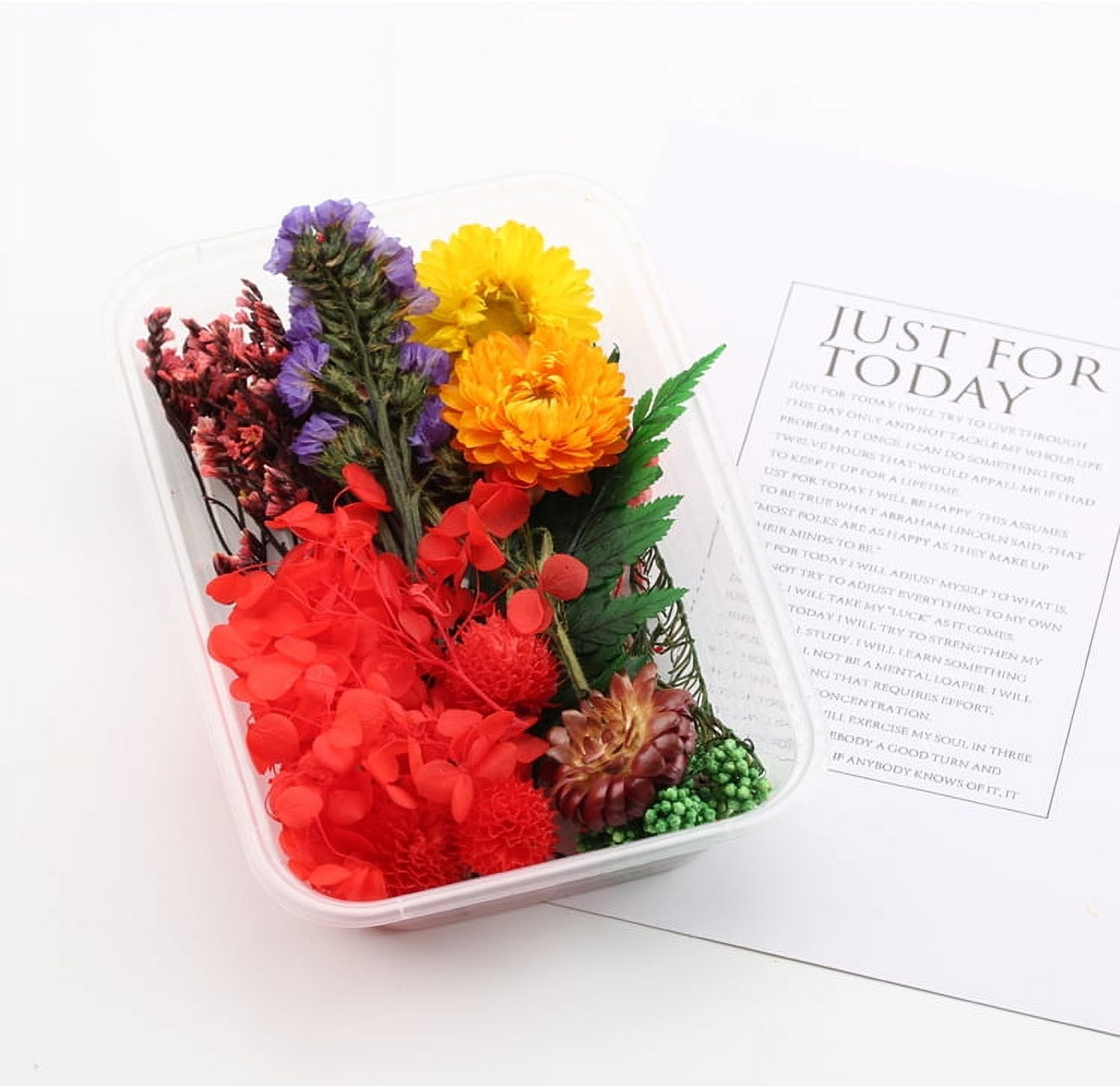 DIY Real Natural Dried Flowers Artificial Plant for Candles Mold Epoxy ...