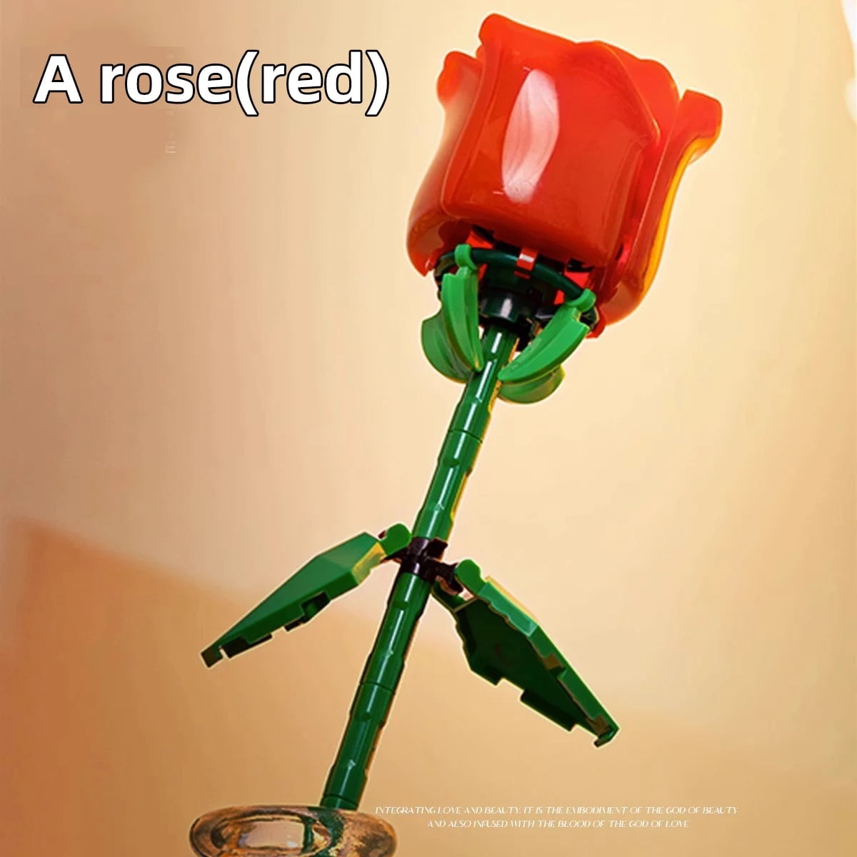 DIY Red Pink Blue Roses Plants Peace and Hope Valentine's Day Gardens ...