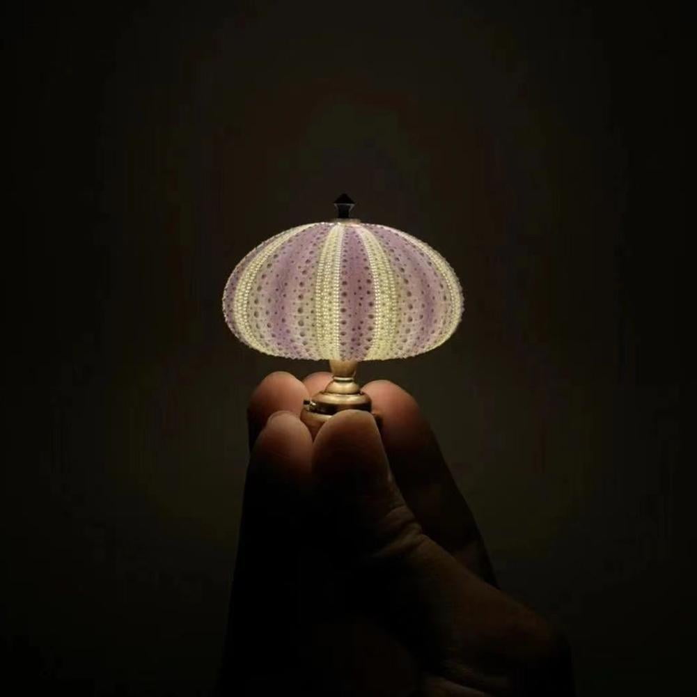 DIY Sea Urchin Night Light -Sea Urchin Shell Night Lights 2024 Lamps AU ...