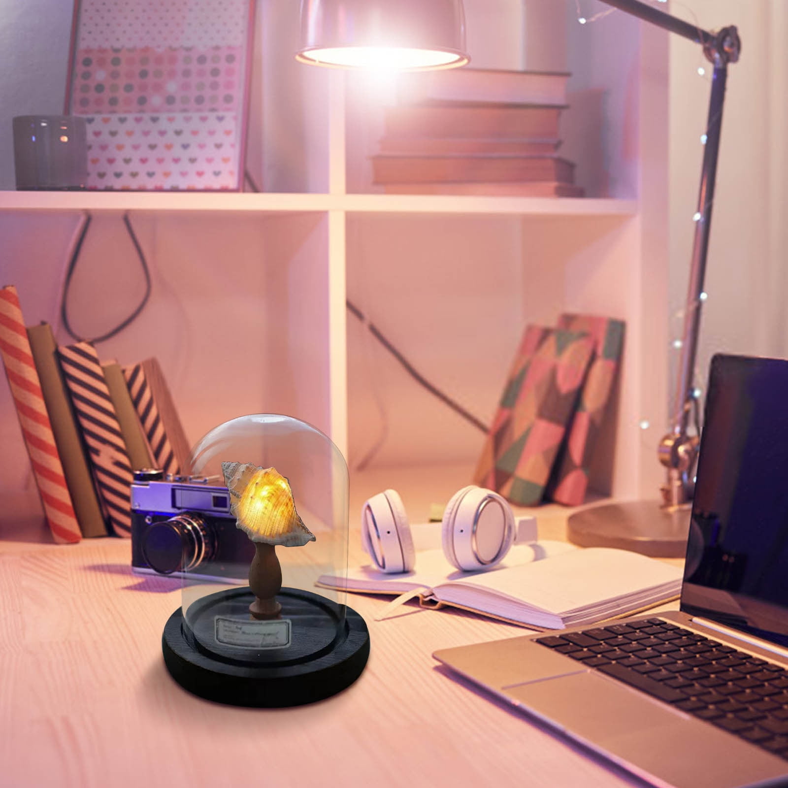 DIY Seashell Nightlight Kit - Handmade Home Decor, Easy Craft Project for Bedroom & Living Room ...