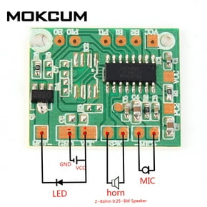 Recordable Sound Chip