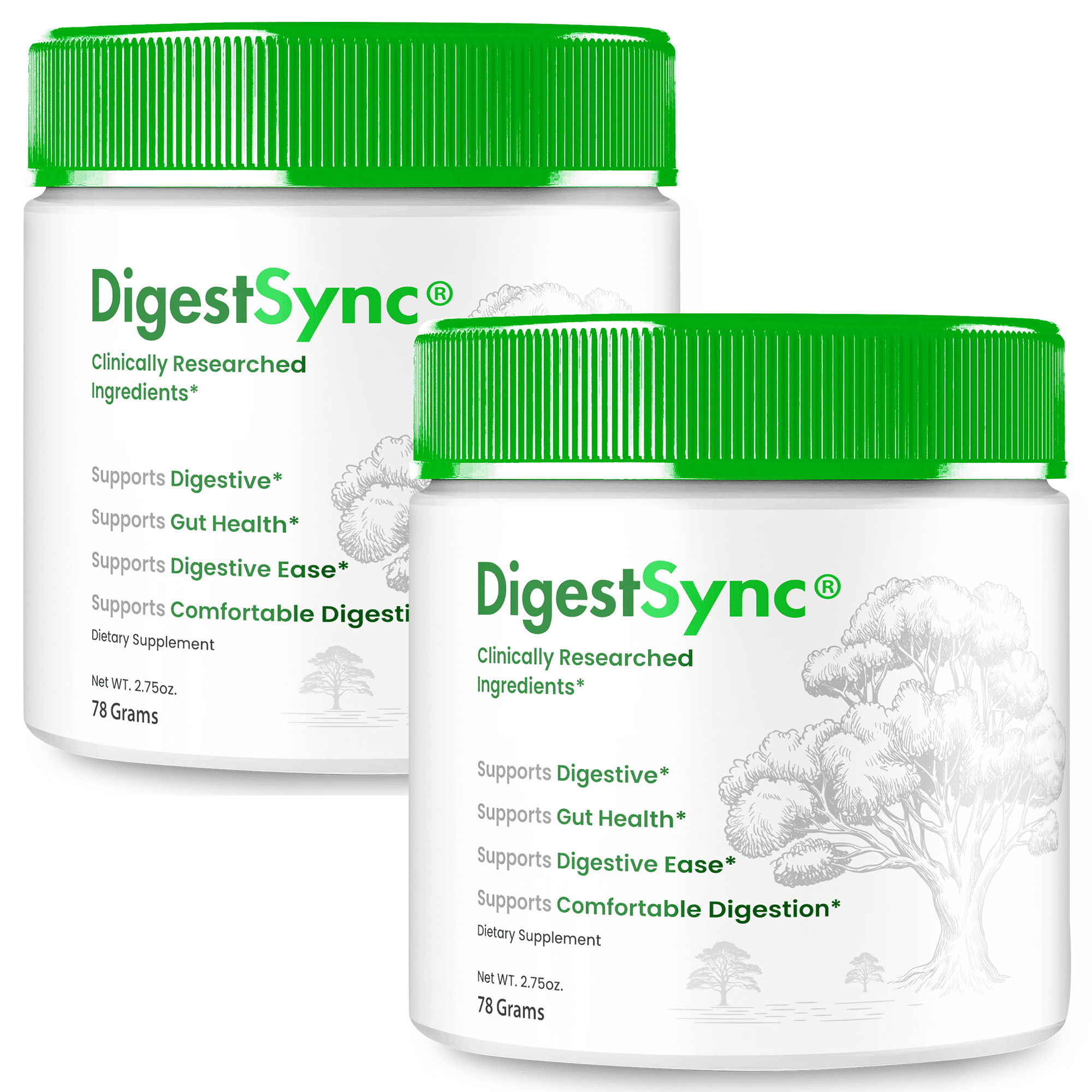 DIgestSync Gut Health Powder, Official Digest Sync Supplements Advanced ...