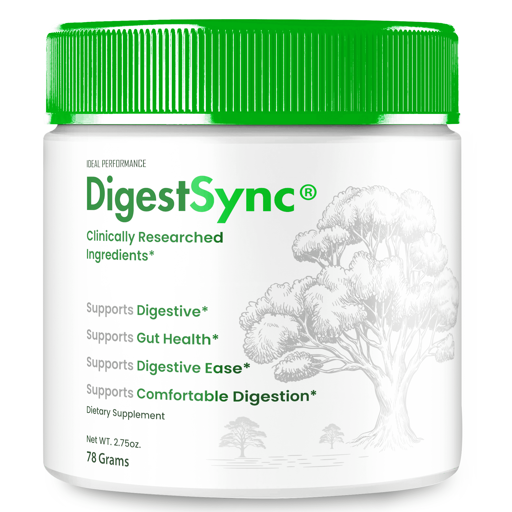 DIgestSync Gut Health Powder, Official Digest Sync Supplements Advanced ...