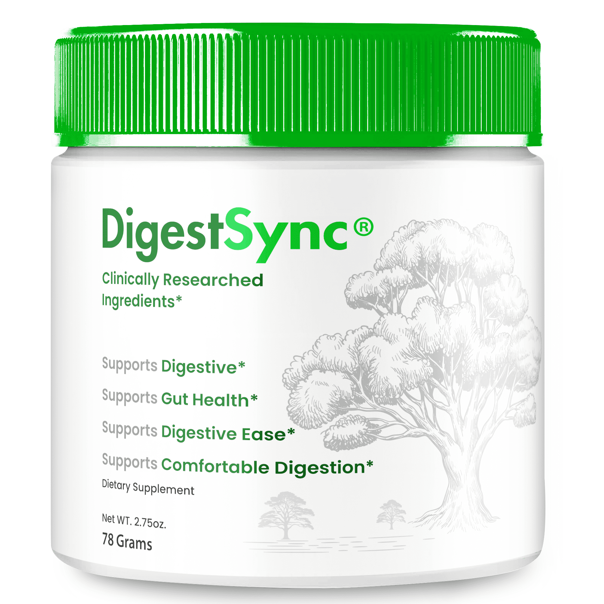 DIgestSync Gut Health Powder, Official Digest Sync Supplements Advanced ...