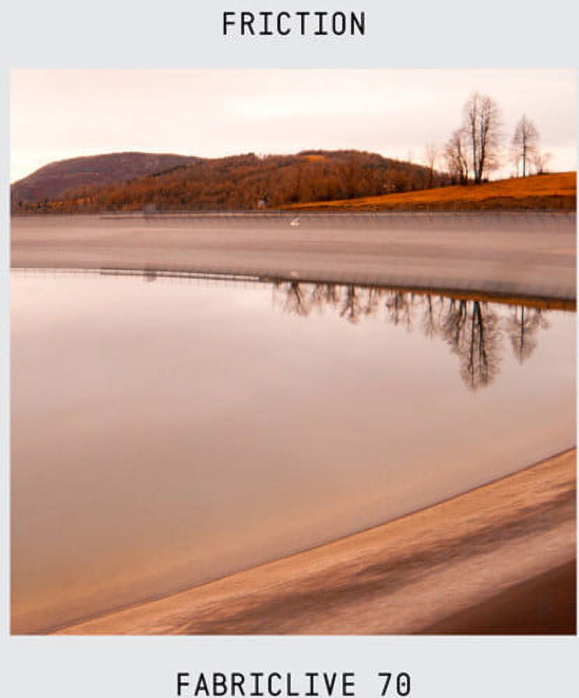 DJ Friction - Fabriclive 70: Friction - Electronica - CD - Walmart.com