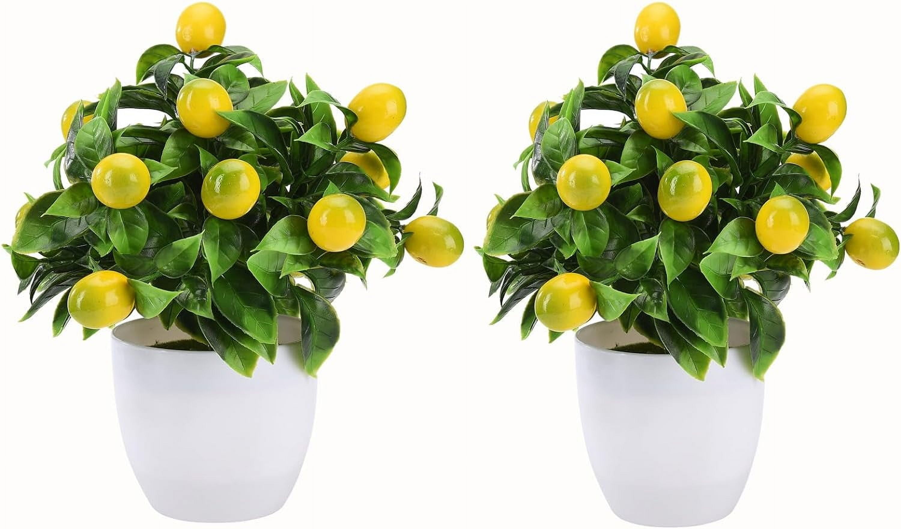 DJH-2Pcs Artificial Lemon Tree Decor, 9.1Inches Artificial Potted Lemon ...