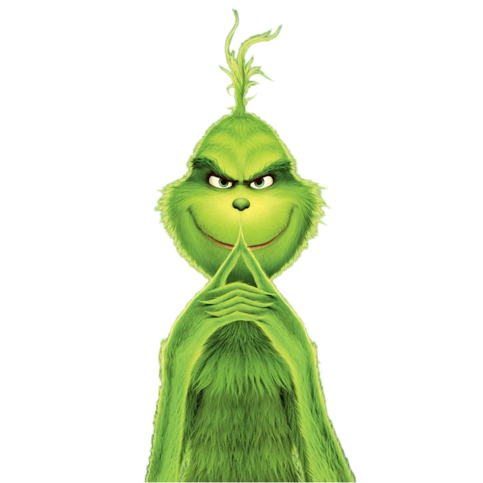 DJKDJL The Grinch Green Hair Stickers, Movie Merch Grinch Christmas ...