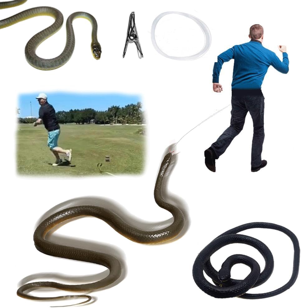 DJKDJL Snake Prank with String and Clip,Rubber Snake on A String Prank ...