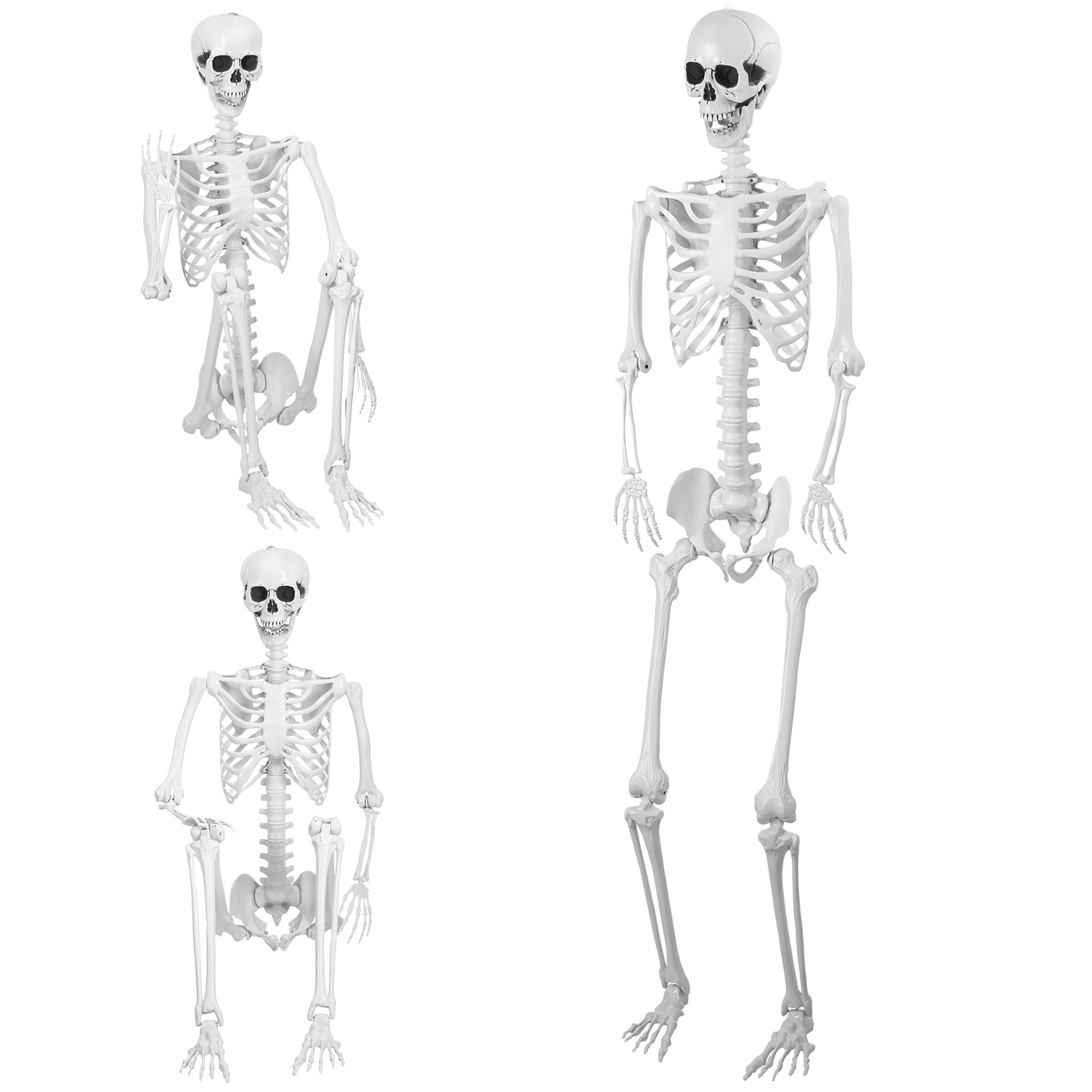 DJZ 7.8ft/240cm Full Size Skeleton Halloween Skeleton with Movable ...
