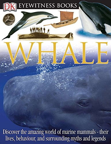 Pre-Owned Whale (Hardcover) 0756607396 9780756607395 - Walmart.com