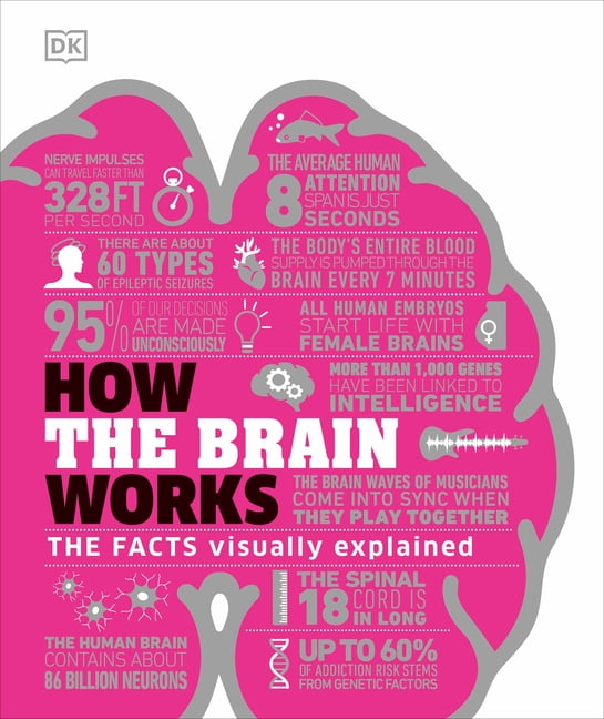 DK How Stuff Works How the Brain Works: The Facts Visually Explained, (Hardcover) - Walmart.com