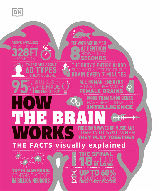 DK How Stuff Works How the Brain Works: The Facts Visually Explained, (Hardcover) - Walmart.com