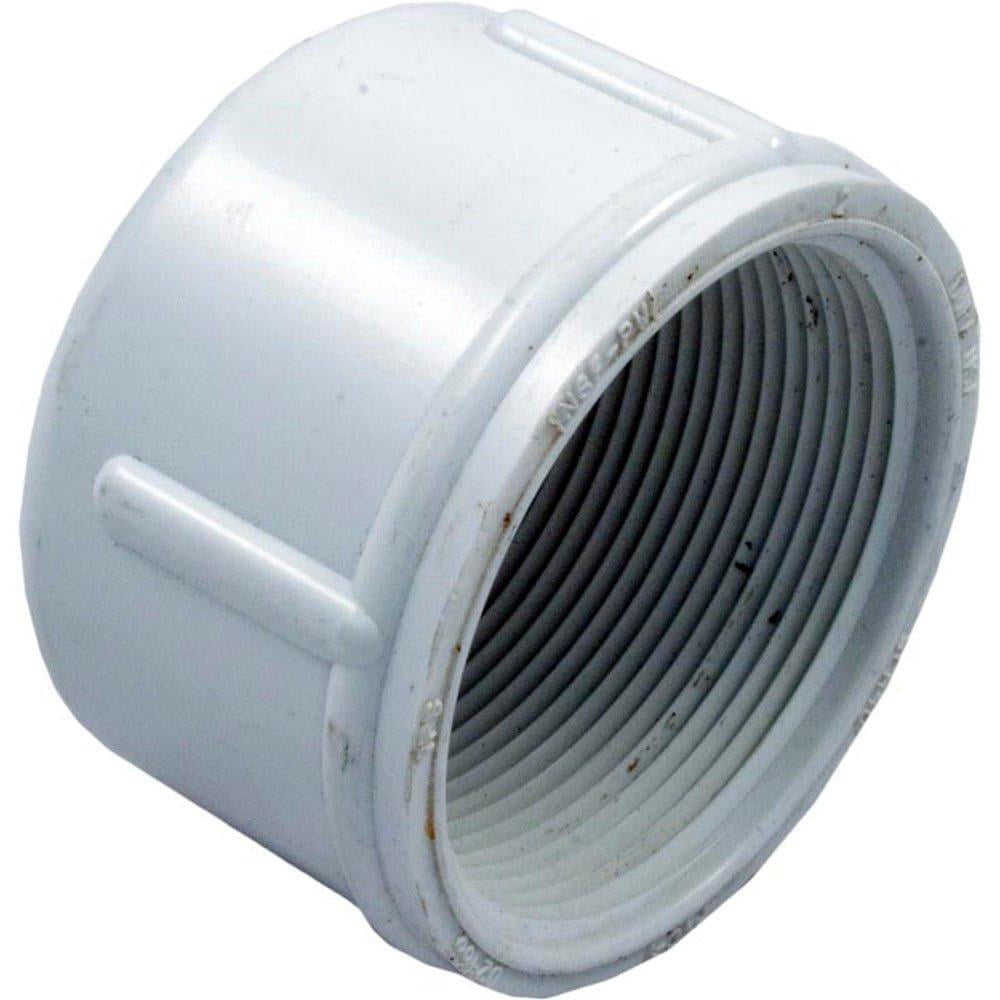 Manufacturer Varies Hex Head Cap, 2 in, Schedule 40, FNPT 448020 ...