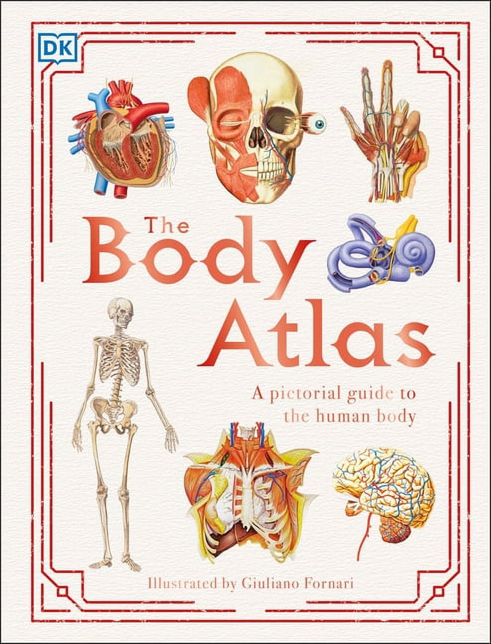 Atlas Body