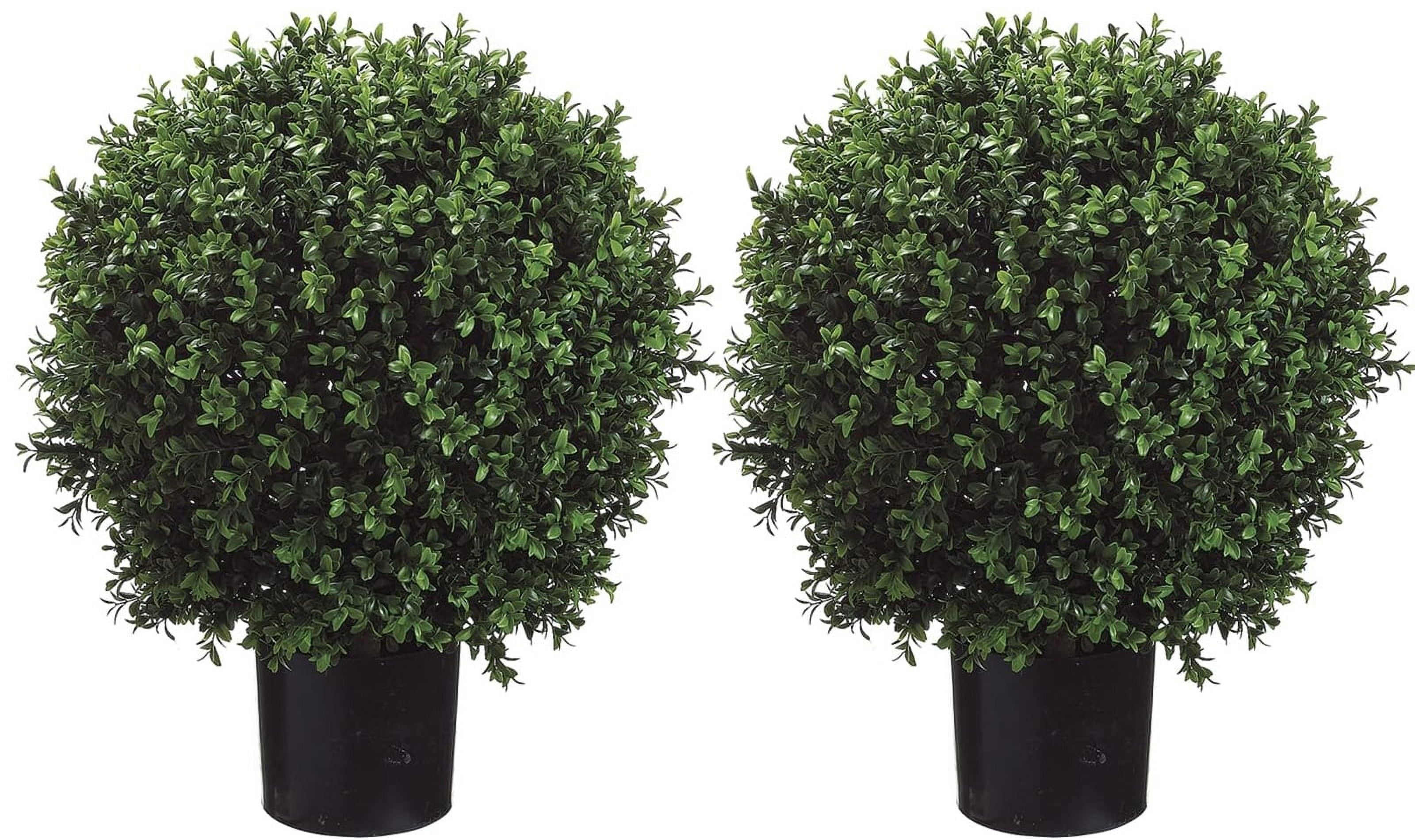 "DLD Artificial Boxwood Balls, 24"" High, 16"" Diameter, Set of 2 ...