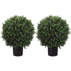 Artificial Topiaries