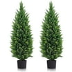 OLIYA 3ft Artificial Topiary Trees, UV Protected Faux Cedar Pines (Set ...