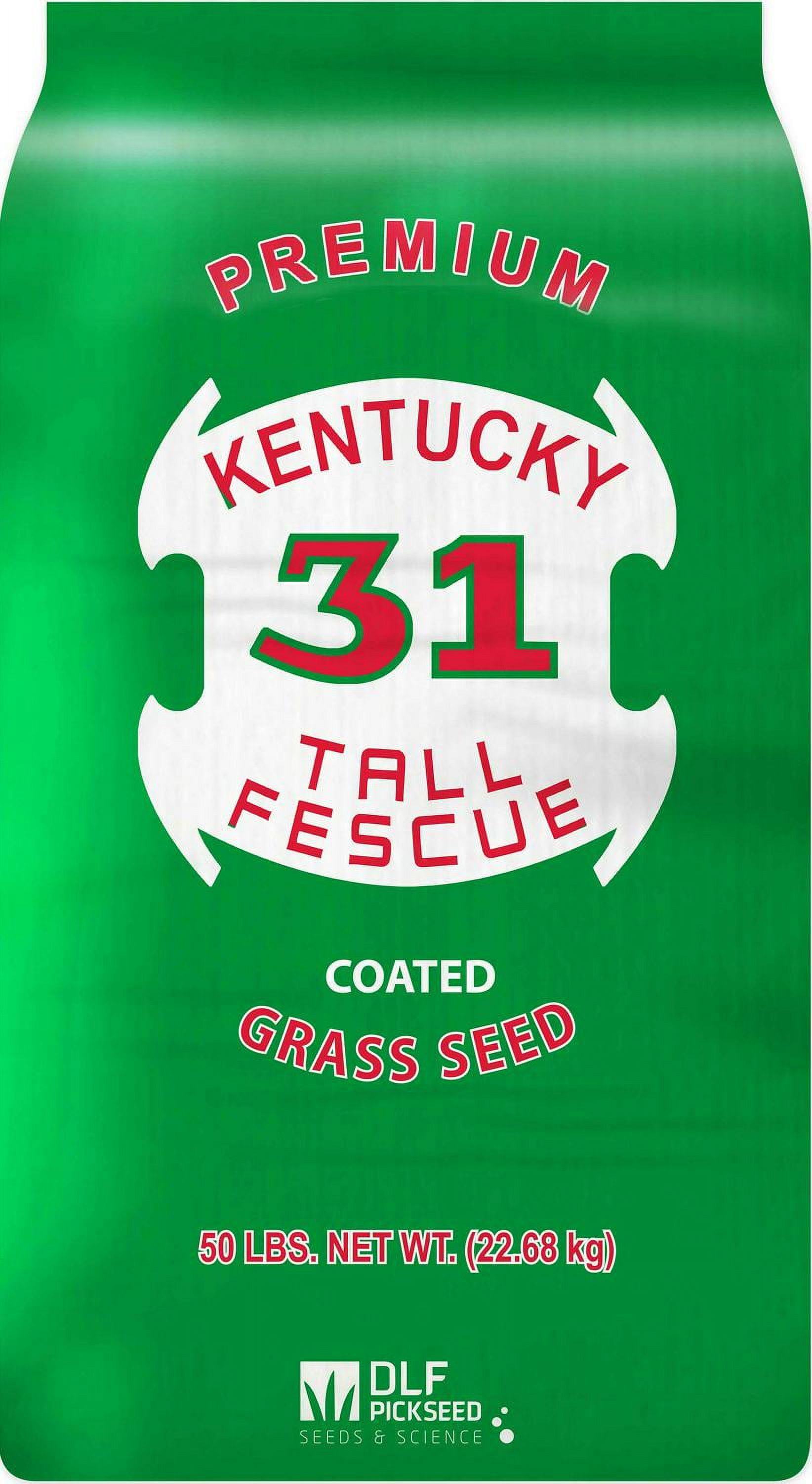 DLF Bulk 50 lb. Kentucky-31 Tall Fescue Coated Grass Seed Mix - Walmart.com