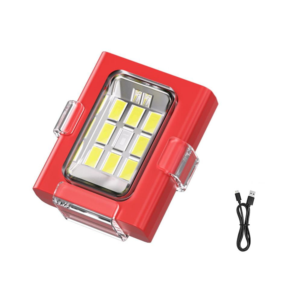 DLQT Red Running Light (Light Strip + Charging Cable + Color Box ...