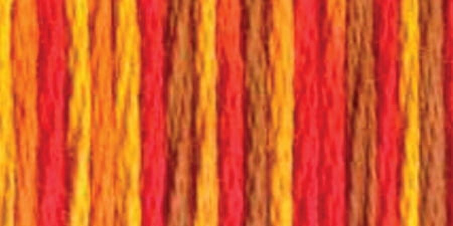 DMC Color Variations 6-Strand Embroidery Floss 8.7yd-Fall Harvest ...