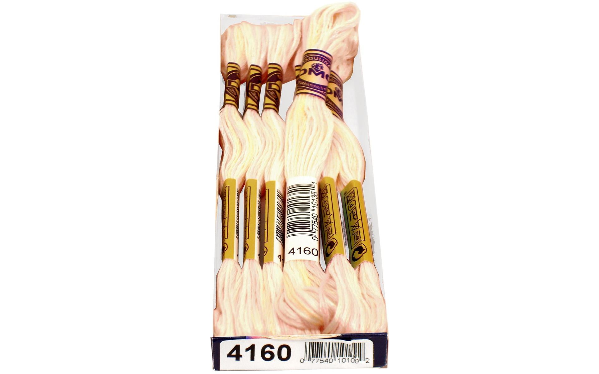 DMC Color Variations Variegated Floss 4160 - Walmart.com