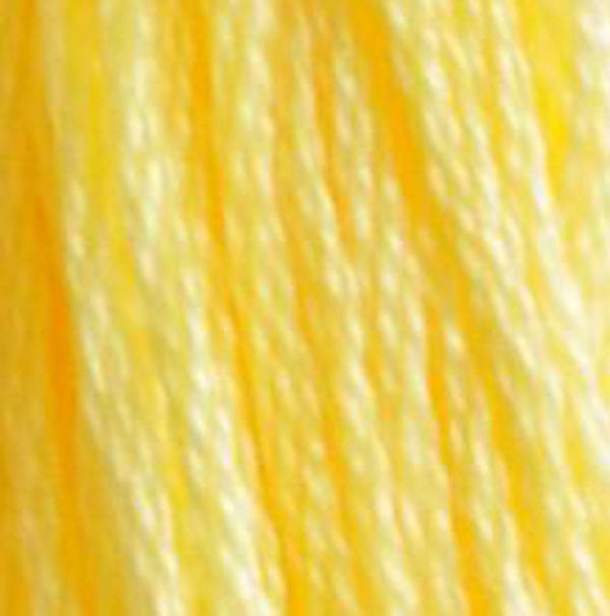 DMC Mouline 117-727 Six-Strand Embroidery Thread, Very Light Topaz, 8.7 ...