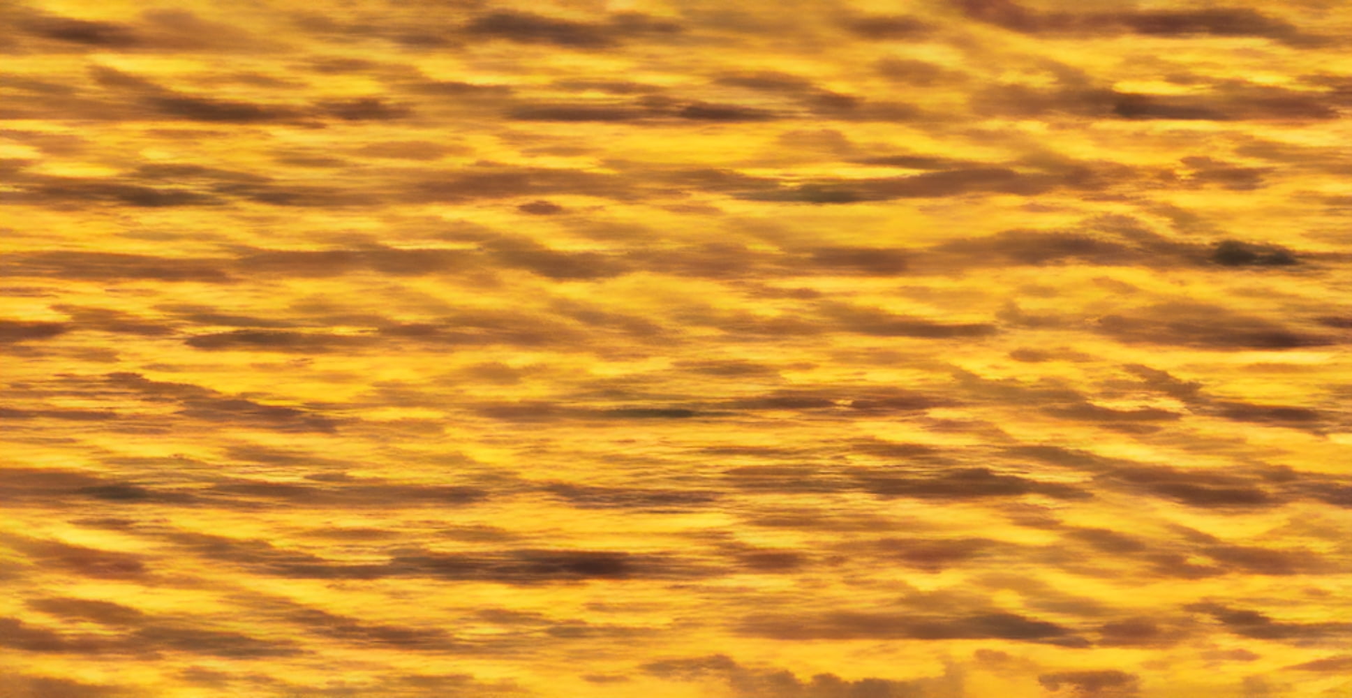 DMC Mouline 117-783 Six-Strand Embroidery Thread, Medium Topaz, 8.7 ...