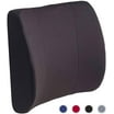 Motor Trend Lumbar Back Support, Portable Orthopedic Lumbar Back ...