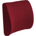 DMI Lumbar Support Pillow for Chair to Assist with Back Support with ...
