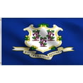 DMSE Connecticut State Flag, 2ft x 3ft, 100% Polyester 100D Flag UV ...