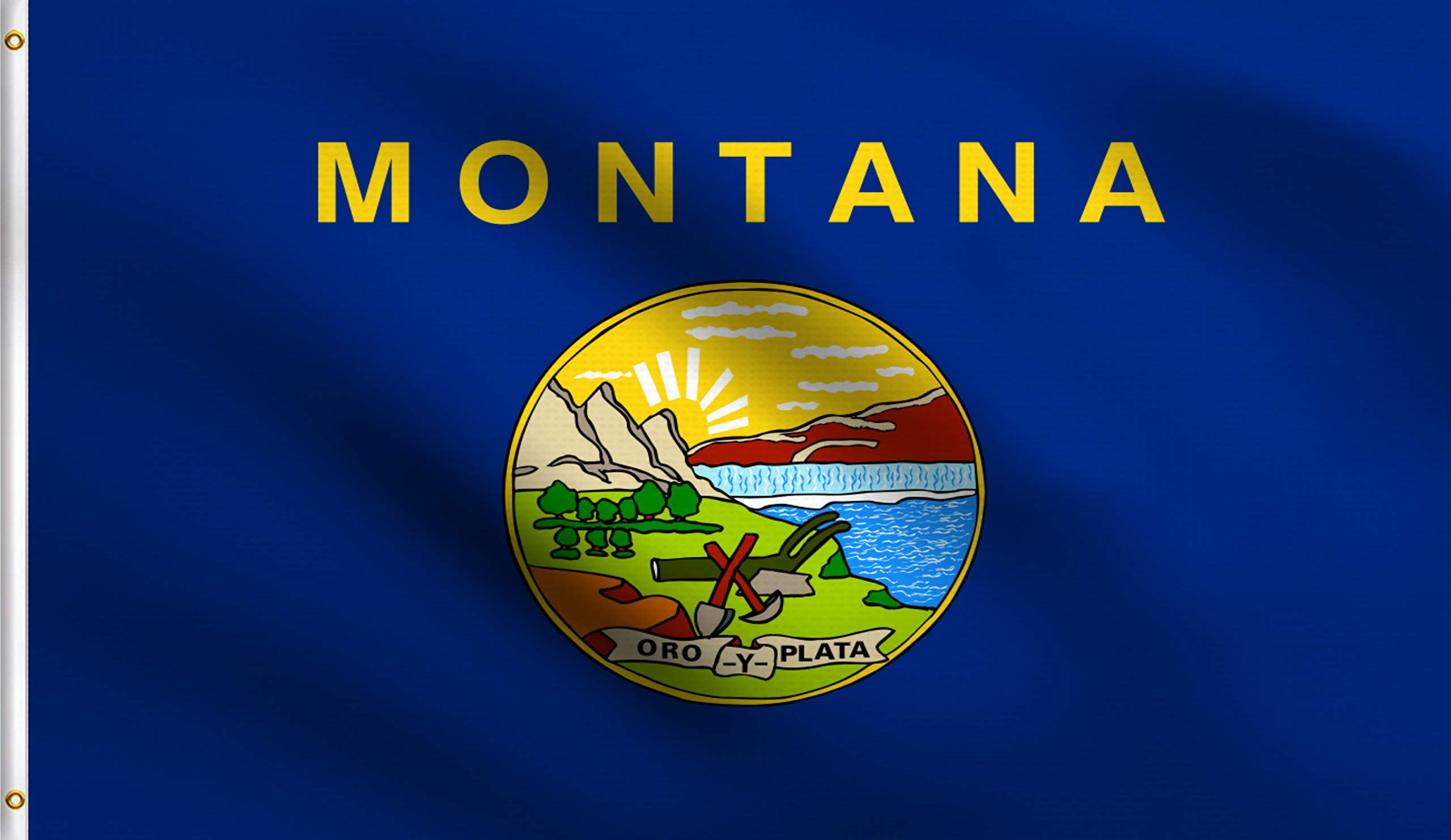 DMSE Montana State Flag, 2ft x 3ft, 100% Polyester 100D Flag UV ...