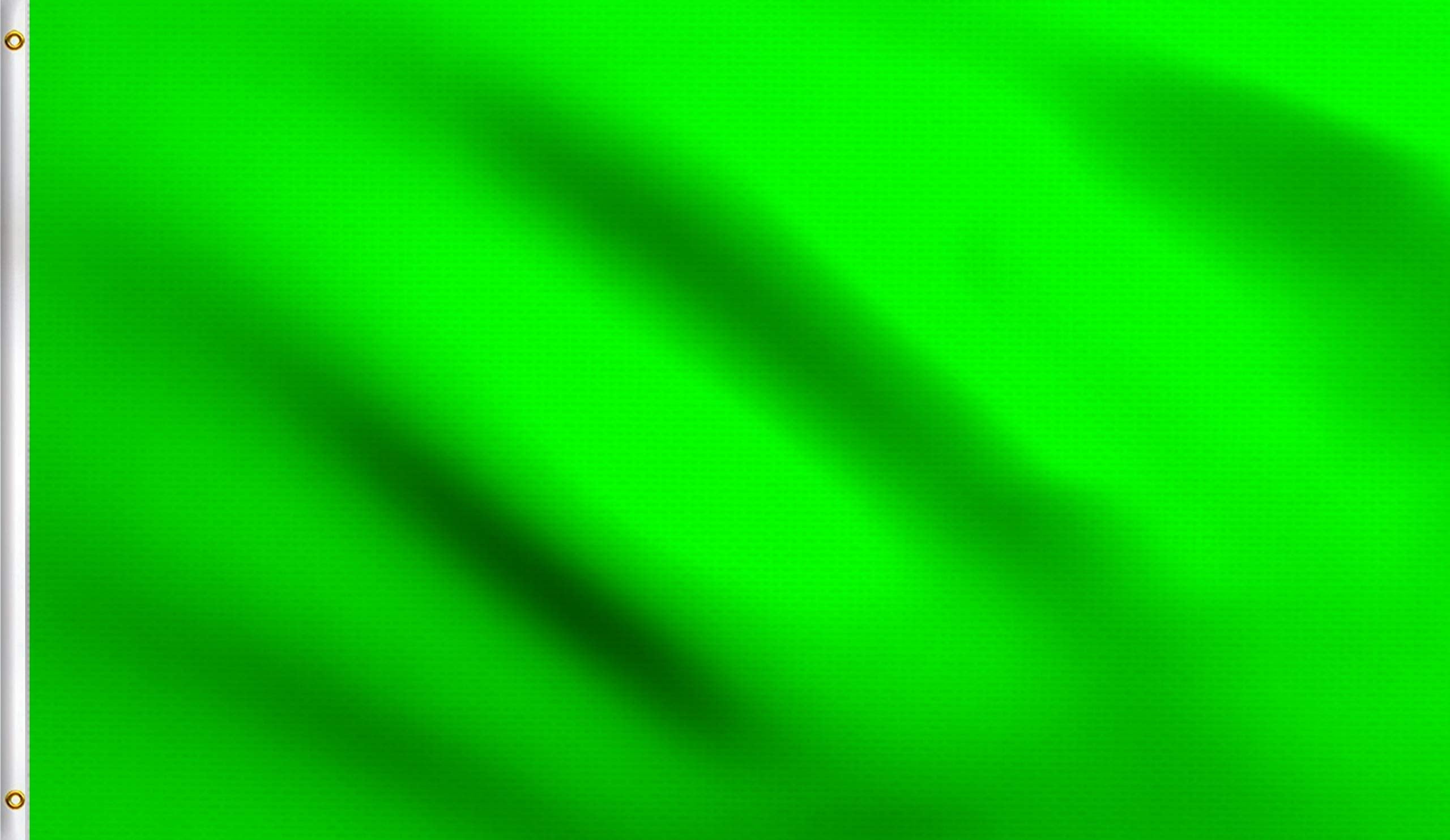DMSE Solid Neon Green Flag, 3x5 Flag, UV Resistant, Fade Resistant ...