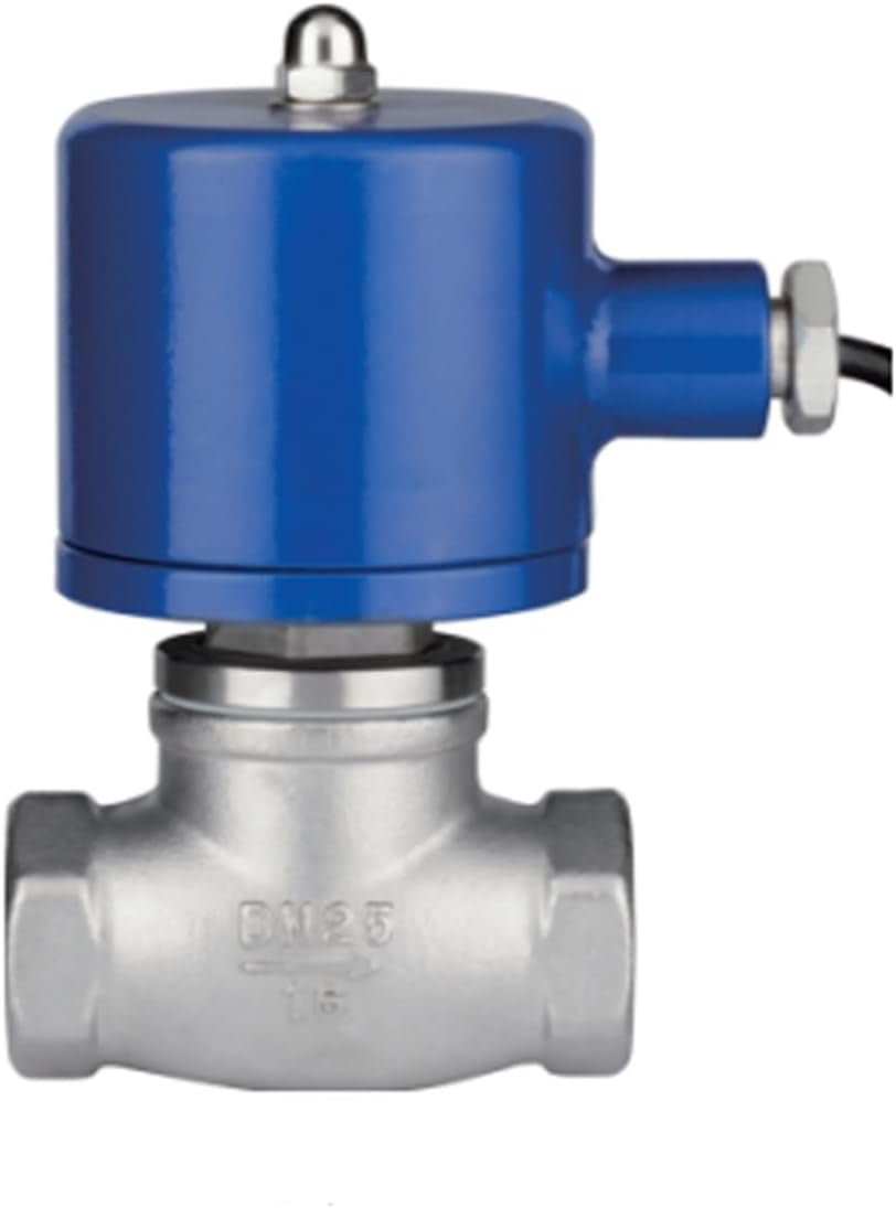 DN15-DN65 Stainless Steel Pilot Piston Solenoid Valve AC220V 110V ...