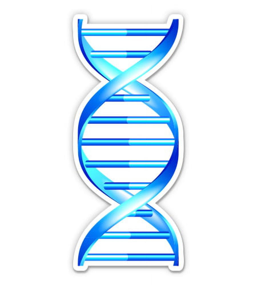 DNA Blue Double Helix Science Genetics - 8" Vinyl Sticker - For Car ...