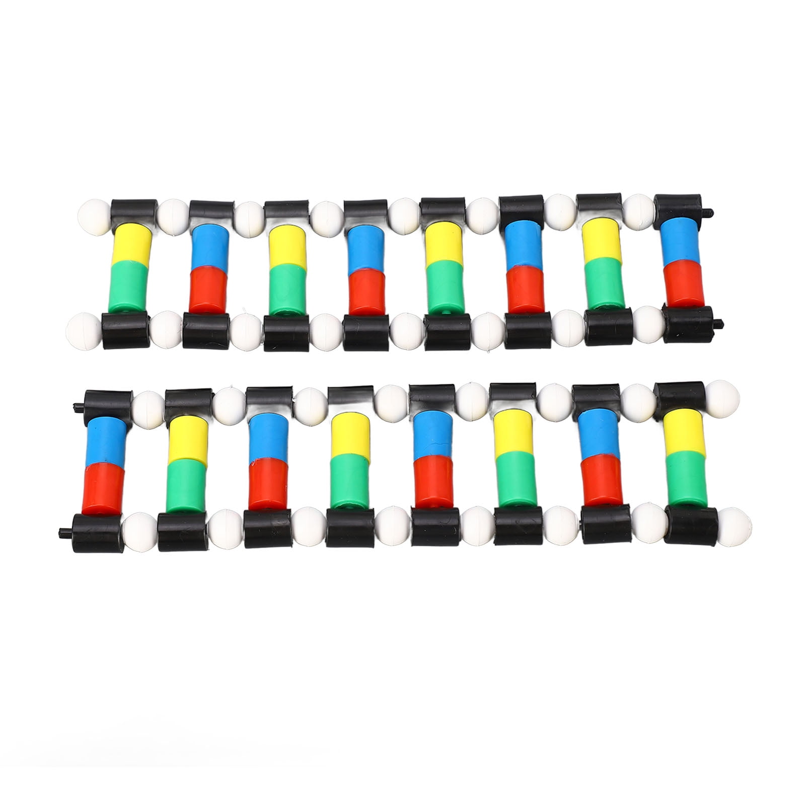 DNA Display Model Double Helix Structure Molecular Model Kit for ...