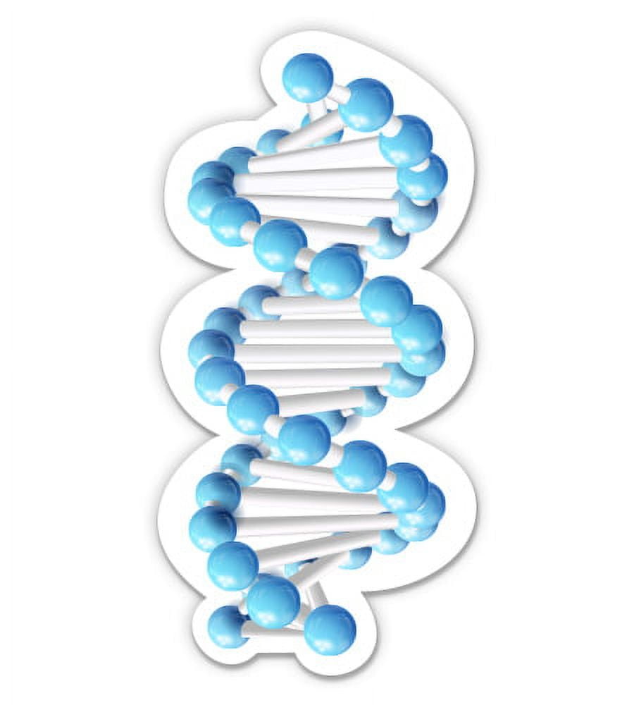 DNA Helix Spiral Science - 12" Vinyl Sticker Waterproof Decal - Walmart.com