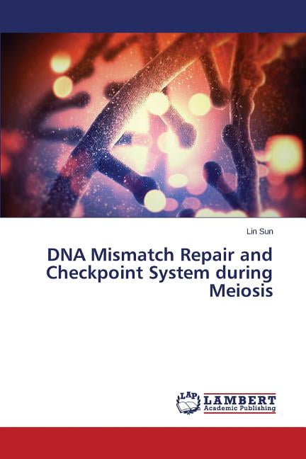 DNA Mismatch Repair and Checkpoint System during Meiosis (Paperback ...