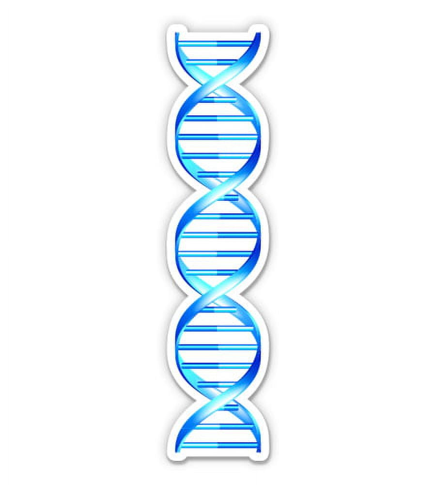 DNA Strand Double Helix Science Gemone - 5" Vinyl Sticker - For Car ...