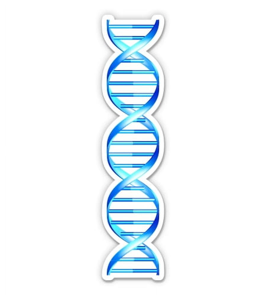 DNA Strand Double Helix Science Gemone - 5" Vinyl Sticker - For Car ...