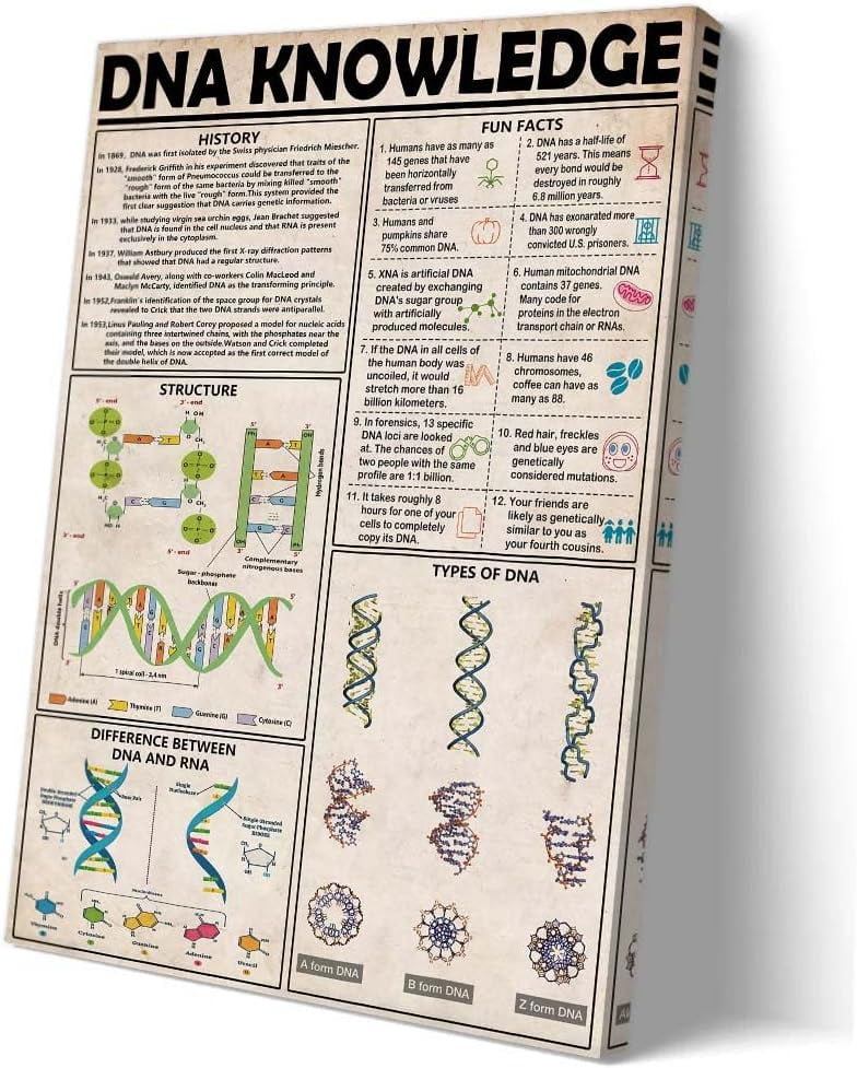 DNA Wall Art Knowledge Poster Prints Educational Wall Art Biology ...