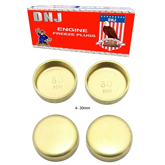 DNJ FPS525 Expansion Plug Kit Fits Cars & Trucks 89-95 Geo Tracker 1.6L ...