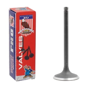DNJ IV3104A Intake Valves Set Fits Cars & Trucks 94-02 Chevrolet GMC 4 ...
