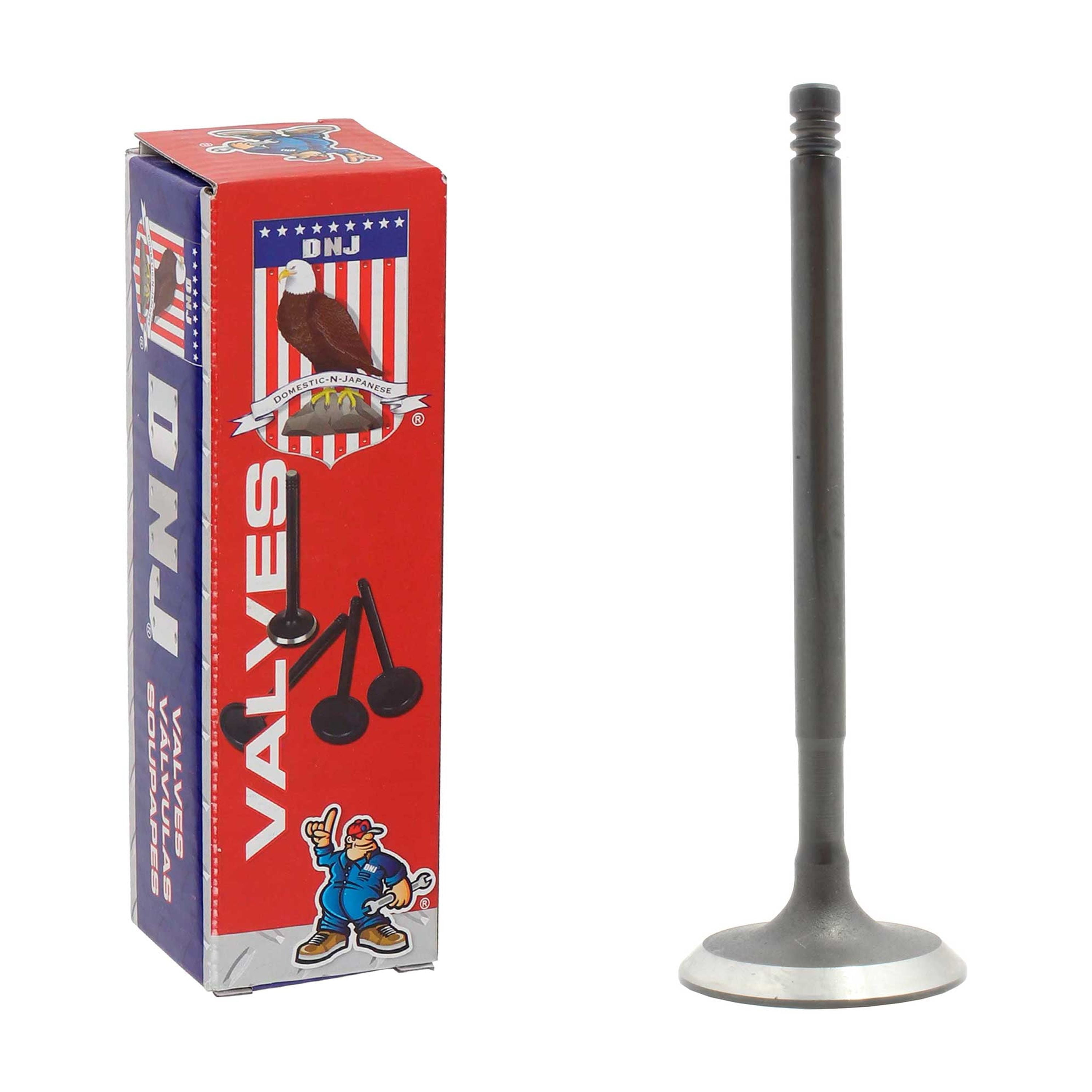 Ford Focus Engine Intake Valve